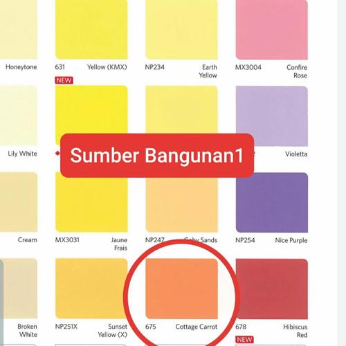 Jual Vinilex Pro 1000 4.5 kg 1 gallon Warna cat dinding tembok nippon ...