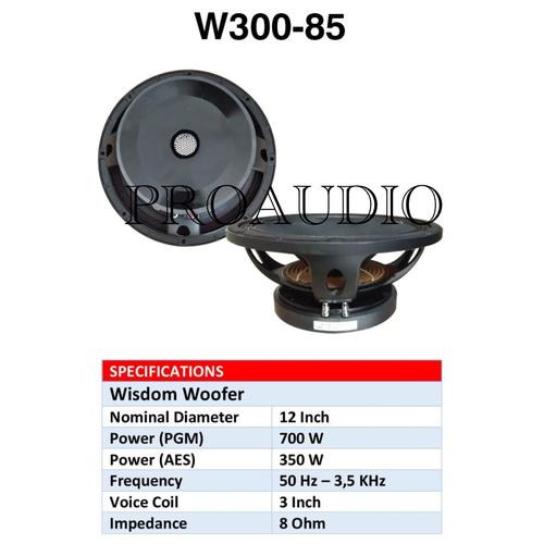 Jual Komponen Speaker Wisdom 12 Inch W300-85 W 300-85 W 300 85 Original ...