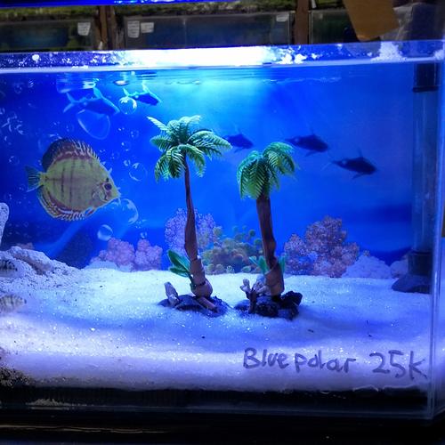 Jual aquarium full set 45*30*30 - Kota Bandung - Arunika Aquafish ...