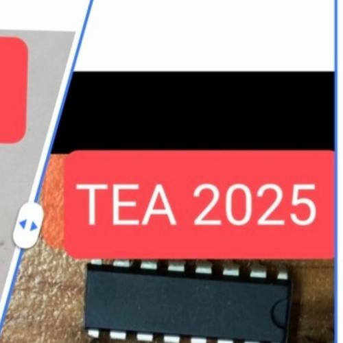 Jual IC TEA 2025 audio ampli penggs tia KA2206 - Kab. Bekasi - Toko Robot & Bibit Anggur | Tokopedia