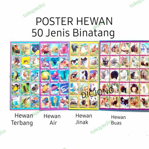 Jual Poster Edukasi Macam2 Hewan / Mainan Gambaran 50 Jenis Binatang ...