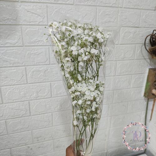 Jual Bunga Baby Breath (Bunga Import Segar) - Jakarta Barat - 3rd ...