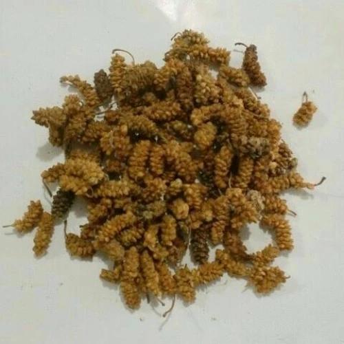 Jual 300 G 600 GR 1000 GRAM 1KG 1 KG 桑椹子 SANG SHEN ZI FRUCTUS MORI ...