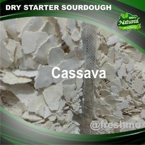 Jual sourdough starter CASSAVA dry gluten free levain ragi roti alami ...
