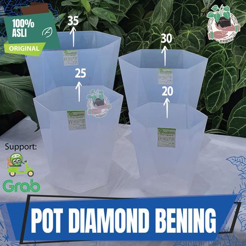 Jual Pot Polos Transparan Diamond Tabitha Ori Pot Bunga Tanaman Hias ...