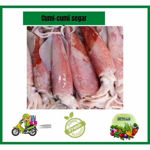 Jual cumi segar - Jakarta Timur - 07fresh | Tokopedia