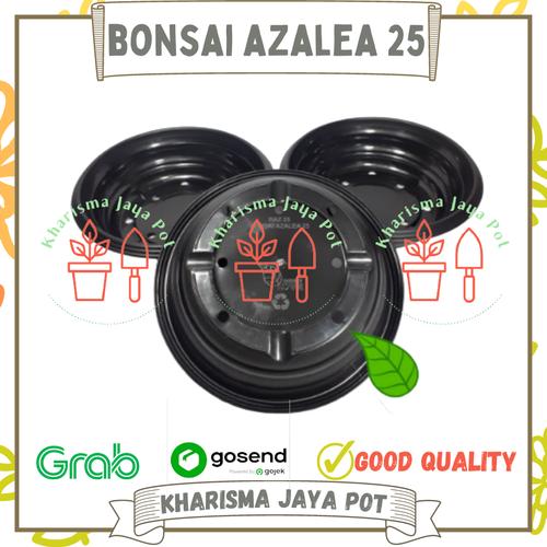 Jual POT Bonsai Azalea hitam tebal berkualitas 25 Tanaman bunga ...