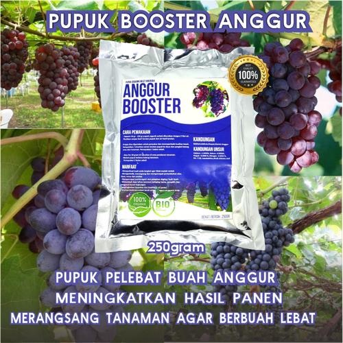 Jual Pupuk Organik Pelebat Anggur Penyubur Buah,Pupuk Booster Pelebat Ang - Kab. Bantul - Tani ...
