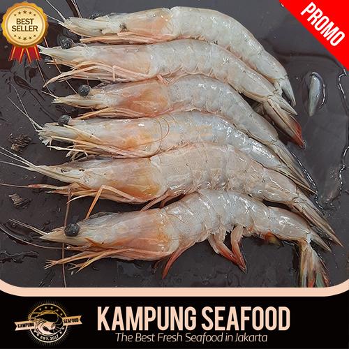 Jual Udang Jerbung Segar/Udang Api Fresh/Udang Peci Segar/Udang Segar ...