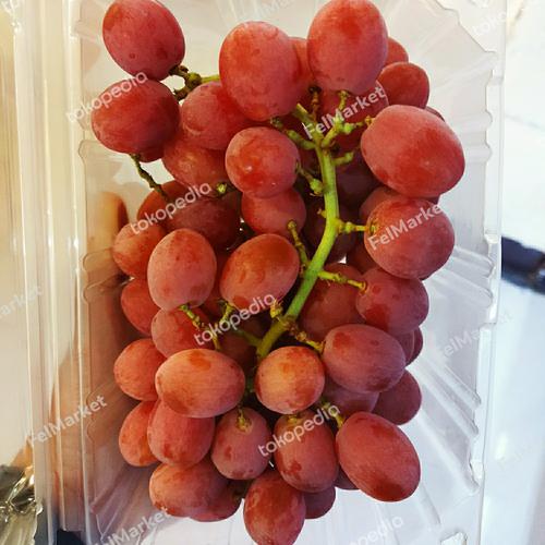 Jual Anggur rally seedless USA | 1 kg - Jakarta Barat - Felmarket ...