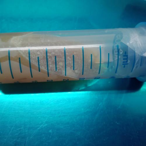 Jual Lactobacillus rhamnosus jel agar miring - Kab. Bantul - Agrotekno ...