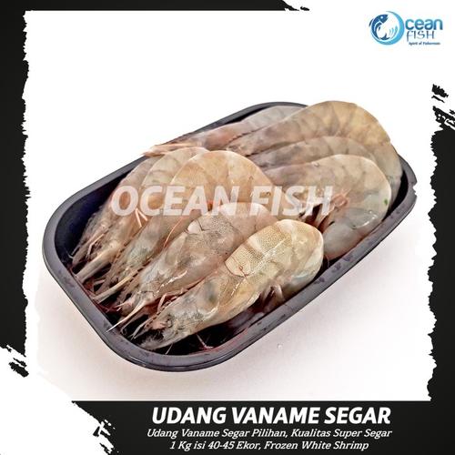 Jual Udang Vaname Segar/Udang Vanammei Fresh/White Shrimp Udang Segar ...