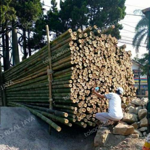 Jual bambu steger | bambu proyek | bambu bangunan | bambu bekisting ...