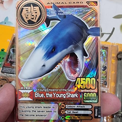 Jual Animal Kaiser Blue, the Young Shark Bronze Rare - Jakarta Pusat ...
