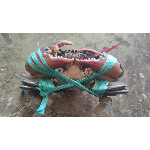 Jual KEPITING HIDUP SUPER CAPIT MERAH MURAH 1KG - Kota Surabaya ...