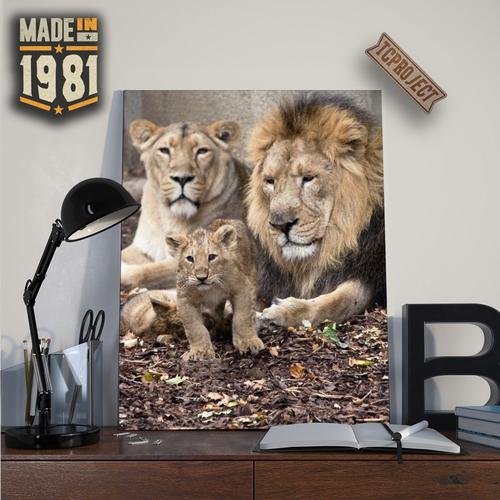 Jual Poster Singa Family - Poster Kayu Dekorasi Hiasan Dinding - Kab ...