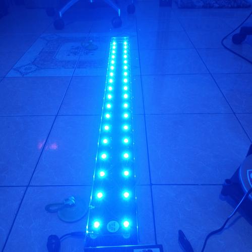Jual lampu tanning warna biru,2baris led hpl 60cm--100cm 24 watt--42 ...