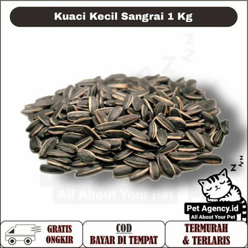Jual Kuaci Kecil Sangrai 1 Kg Pakan/ Makanan Burung Parrot - Kota ...