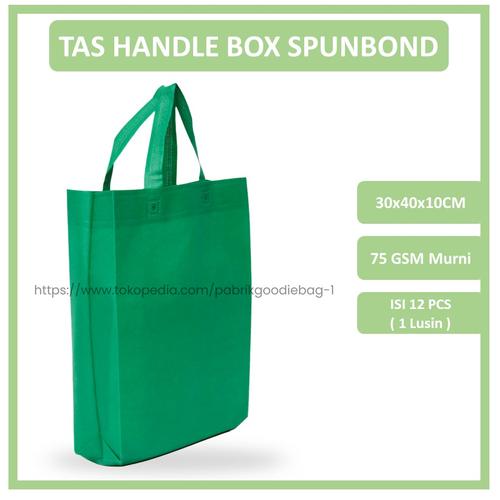 Jual Goodie Bag Spunbond Box 30x40x10 Hijau Tua Satuan / Tas Spunbond ...