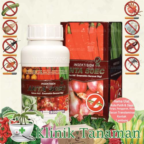 Jual Obat Hama Anta @ 80 ml Insektisida Basmi Hama Wabah Ulat Kutu ...