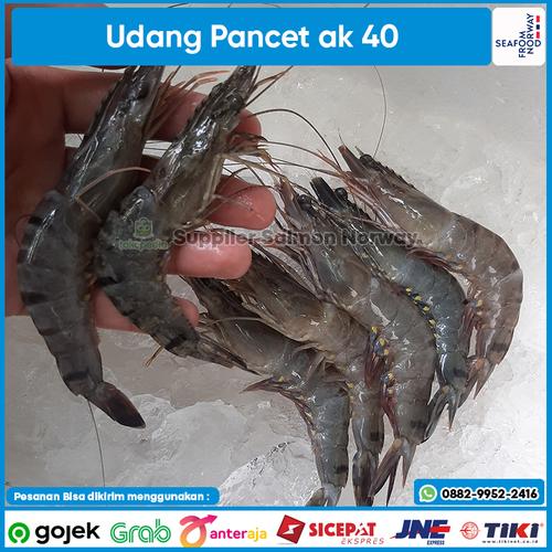 Jual Udang Tiger / Pancet Besar sz 40 - Udang Windu Segar / Pancet ...