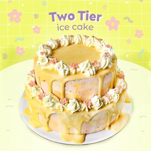 Jual Two - Tier Ice Cream Cake Premium! - Large - Jakarta Barat ...