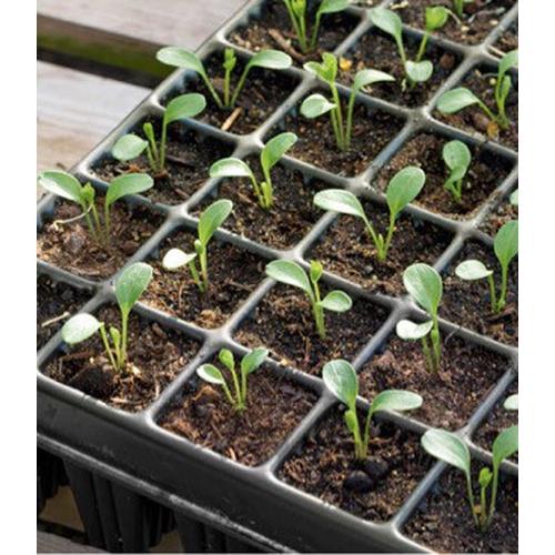 Jual Tray Semai 105/128/200 Lubang- Seedling Tray Benih Bibit ...