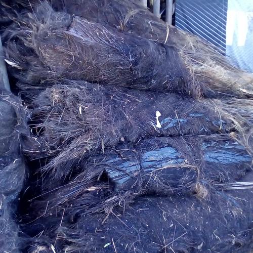 Jual atap injuk buat saung,rumah bambu,villa dan dekorasi - Kab ...