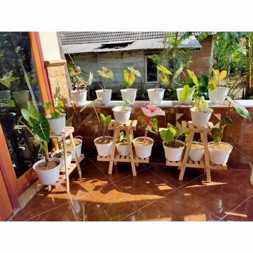 Jual Rak pot bunga dari kayu minimalis kuat dan kokoh - Kab. Bogor - Ms ...