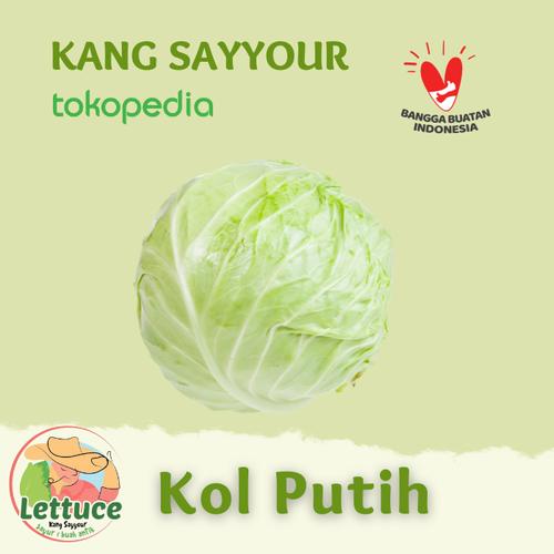 Jual SAYUR KOL PUTIH 1kg | KUBIS PUTIH FRESH HARGA 1Kg PENGAMBILAN ...