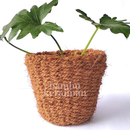 Jual POT ANYAM SABUT KELAPA BULAT D20 PREMIUM / POT MONSTERA / POT ...