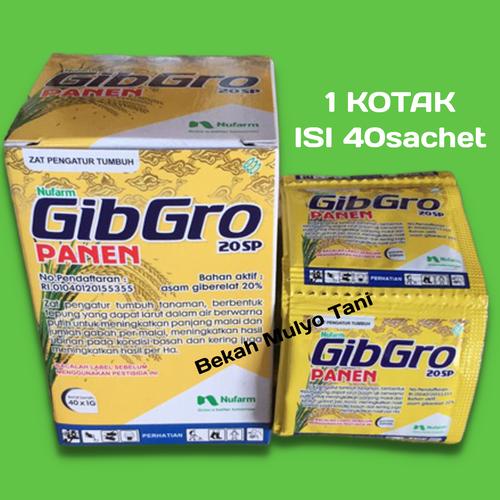 Jual GIBGRO PANEN 20SP PERKOTAK ISI 40 SACHET GIBRO PLUS ZPT - GIBGRO ...