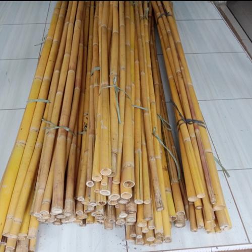 Jual bambu kuning potongan panjang 2 meter - Kota Depok - Arisflora ...