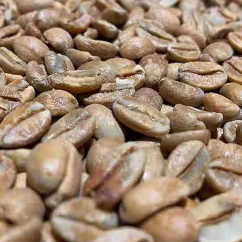 Jual Creativa Coffee District Lot Top Geisha Green beans - Jakarta ...