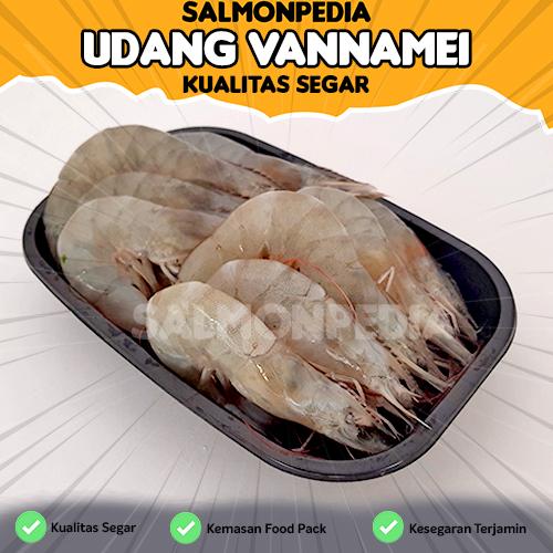 Jual Udang Vannamei Segar/Udang Vaname Fresh ak 40/Udang Segar/Udang ...