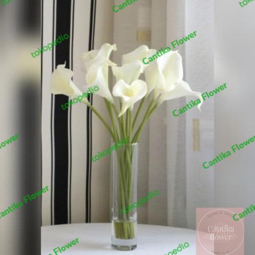 Jual bunga Calla Lily putih asli fresh - Jakarta Barat - Cantika Flower ...