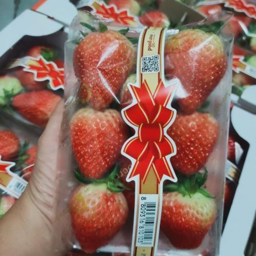 Jual STRAWBERRY KOREA - FRESH STRAWBERRY - KOREAN STRAWBERRY - Kab ...