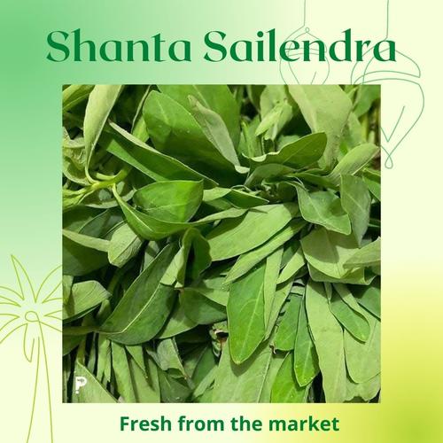 Jual SAYUR GONDE SAYUR GUNDA 100 GRAM - Kota Denpasar - SHANTA ...