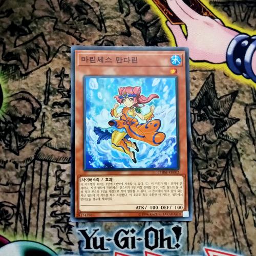 Jual CHIM-KR002 "Marincess Mandarin" | C - Kab. Indramayu - OCG Korea | Tokopedia