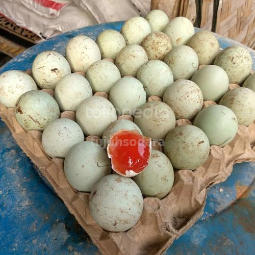 Jual Telur bebek/Telor bebek - Jakarta Timur - tujuhsodara | Tokopedia