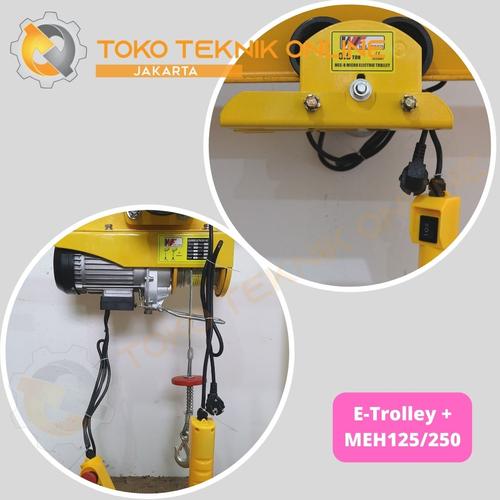 Jual Mini Electric Hoist 125/250 Kg Dengan Electric Trolley - Willfred ...
