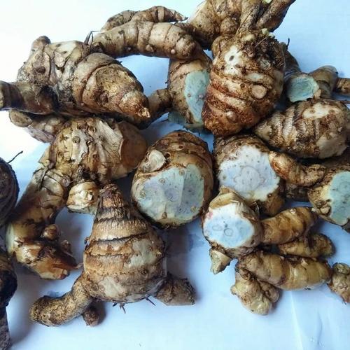 Jual Temu Ireng/Temu Hitam Segar (1Kg) - Kota Makassar ...