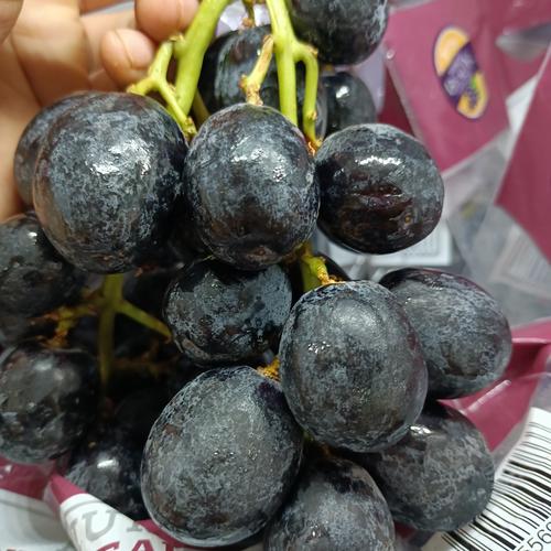 Jual BUAH ANGGUR HITAM TANPA BIJI/AUTUMN ROYAL 500gram - Kab. Sleman ...