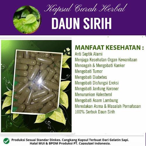 Jual Daun Sirih 100 kapsul Curah Herbal Antiseptik Bronchhitis ...