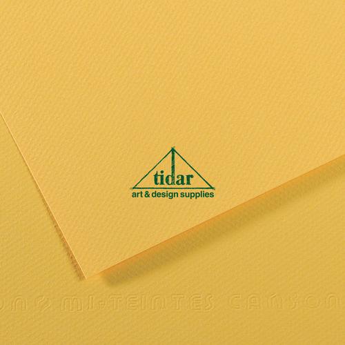Jual Canson Mi-Teintes Paper 160 gsm A4 - Kertas Gambar Tekstur Warna ...