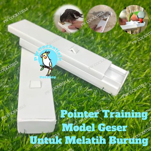 Jual Pointer Box Alat Training Burung Parrot Parkit Lovebird Wadah ...
