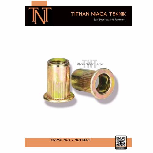 Jual Mur tanam / crimp nut / rivet nut M10 drat 1.5 bahan galv kuning ...