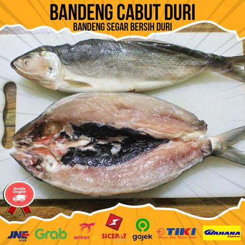 Jual Ikan Bandeng Segar Bersih - Bandeng Cabut Duri Fresh PRAKTIS - Jakarta Utara - Seafood ...