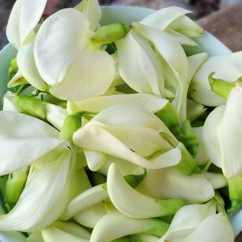 Jual sayur kembang Turi segar - 500 gram - Kota Surabaya ...