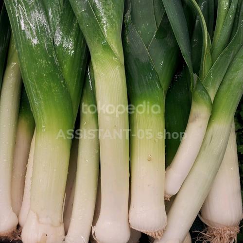 Jual Leek import daun bawang import -+300gr 1 pcs - Jakarta Selatan ...